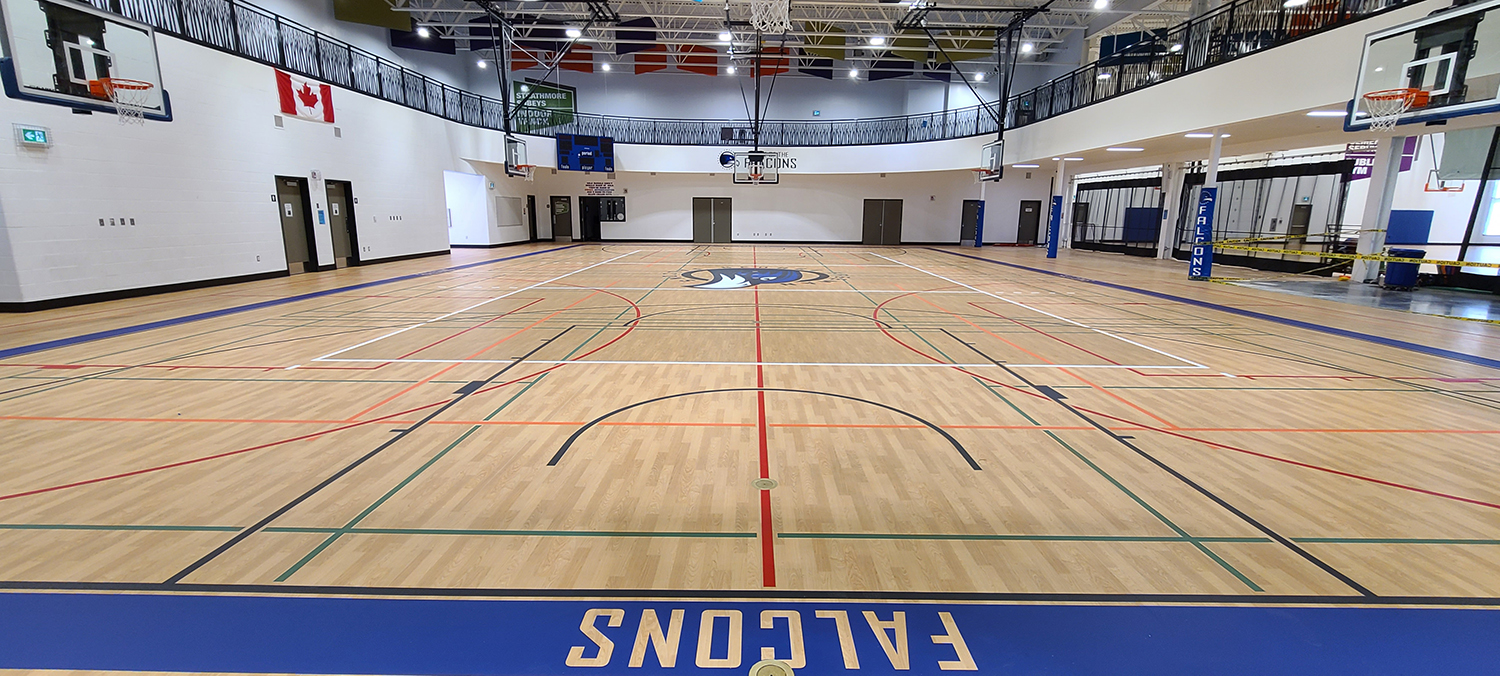 VSport Cushioned Vinyl Sports Flooring - Caliber Sport Systems